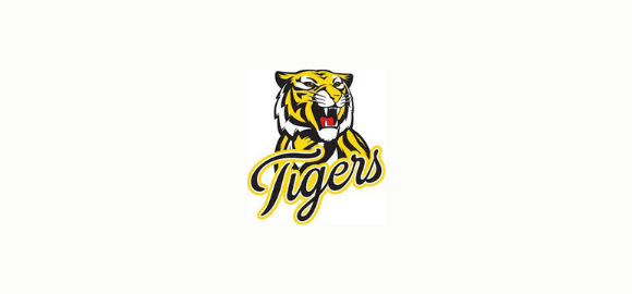 Netball - Kingborough Council