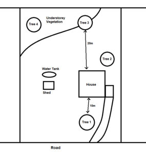 Clearing and Tree Removal - Kingborough Council