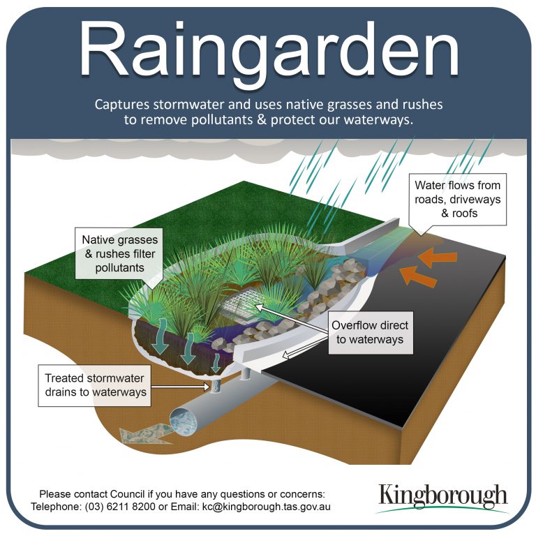 Stormwater Treatment with Raingardens - Kingborough Council