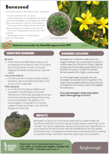 KC Weed of the Month