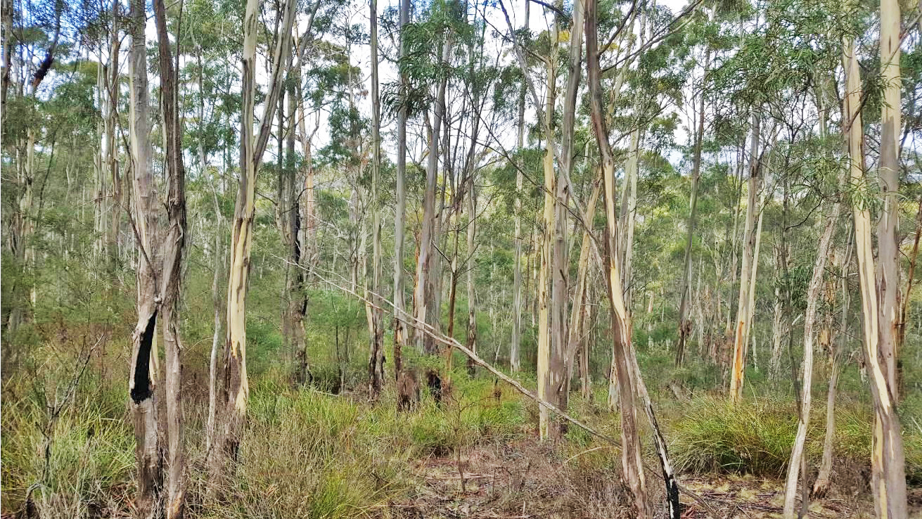 Private Land Reserves - Kingborough Council